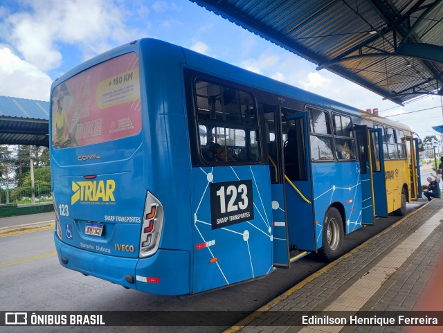 Sharp Transportes 123 em Araucária por Edinilson Henrique Ferreira - ID ...