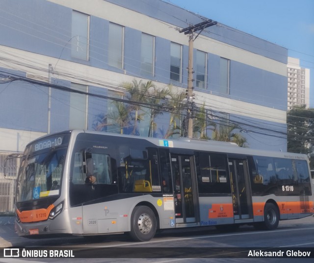 TRANSPPASS - Transporte de Passageiros 8 1310 em São Paulo por ...